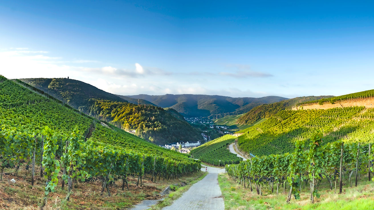 AHRTALQUELLE – nAHRtürlich frisch. Das Sortiment.